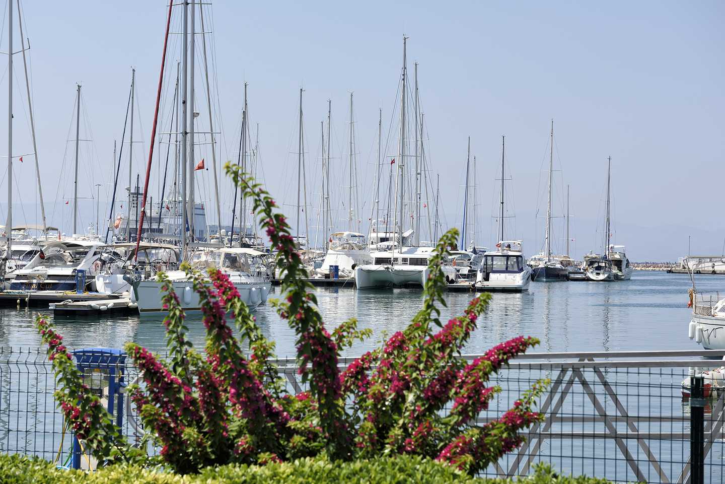 Luxury marinas worldwide - Camper & Nicholsons Marinas